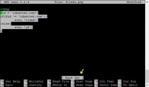 Cara menggunakan nano editor di Linux - idnetter.com